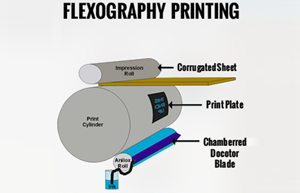 Flexo vs. Digital Printing for Boxes - What’s the Difference?